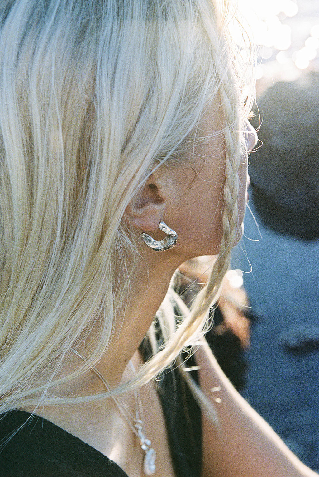 SILVER – Wilder Sage Design