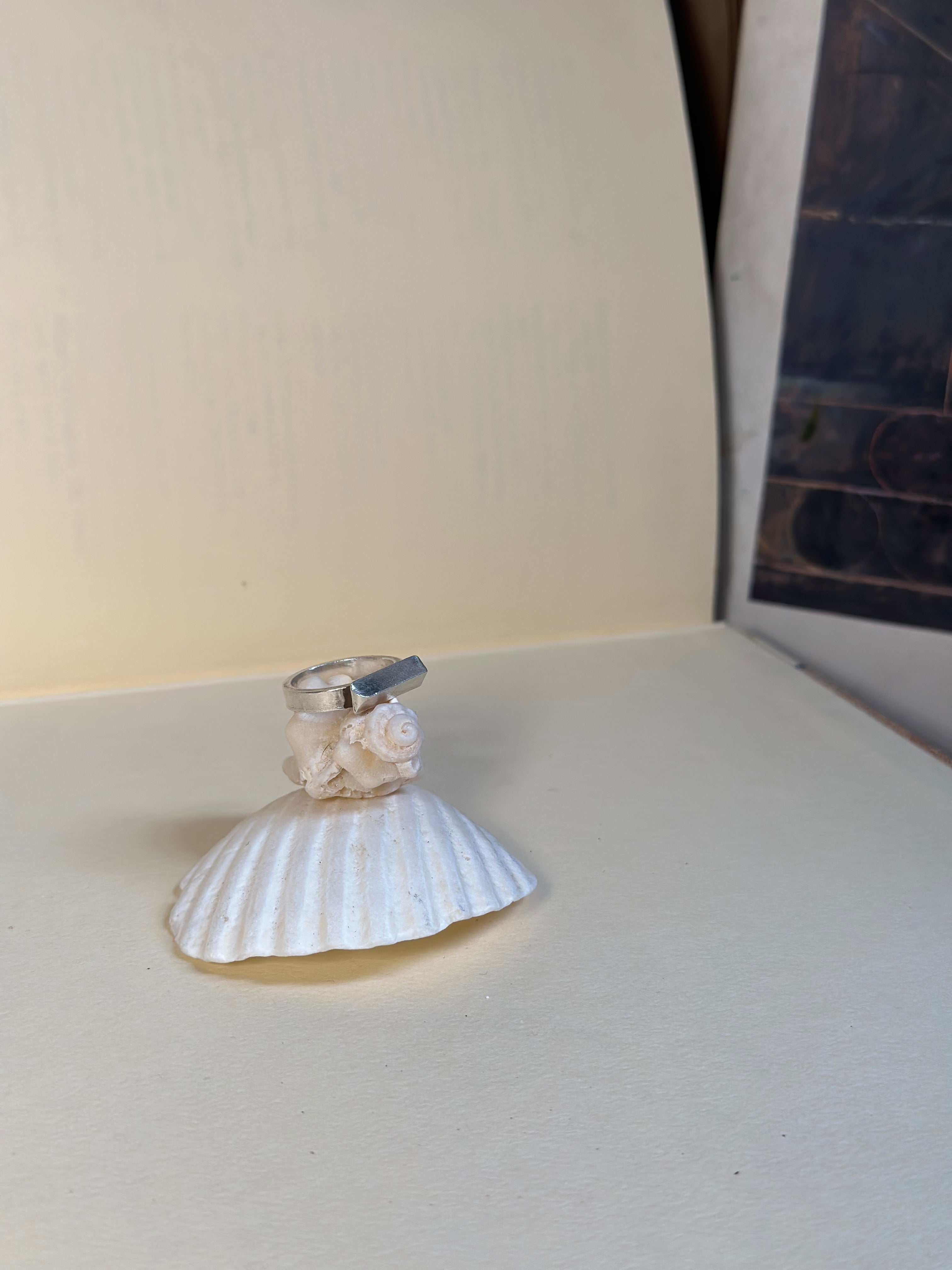 Boy Band – Wilder Sage Design